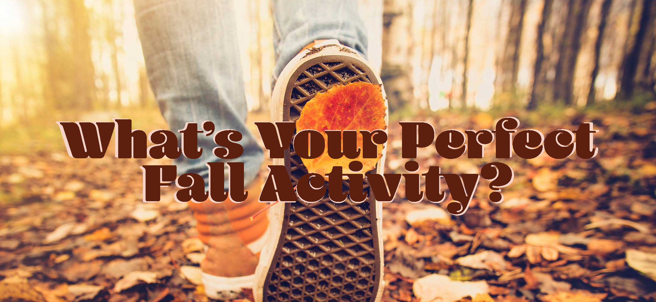 What’s your perfect fall activity? – Xavier Newswire