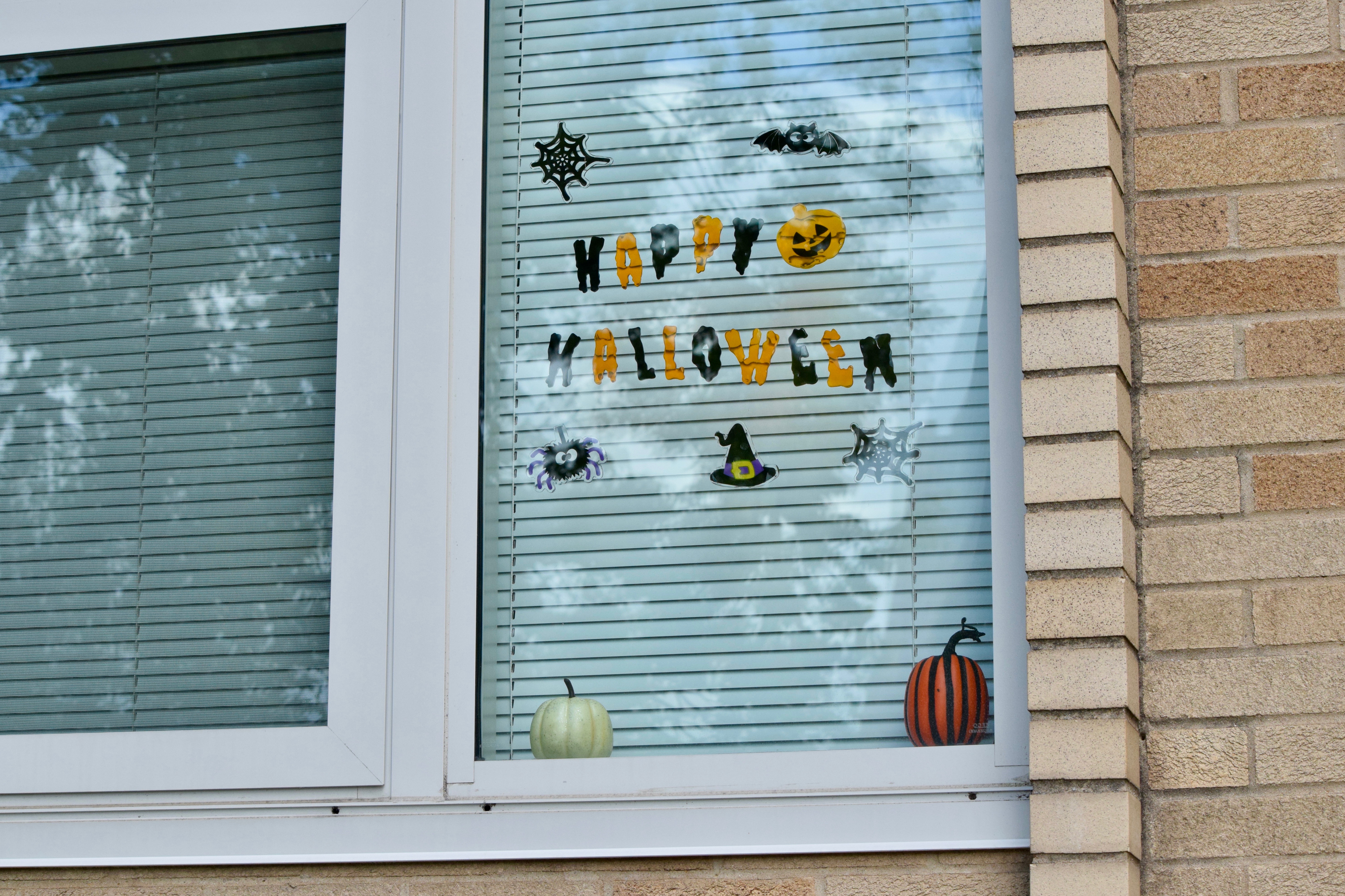 Photo Gallery: Dorm Window Displays