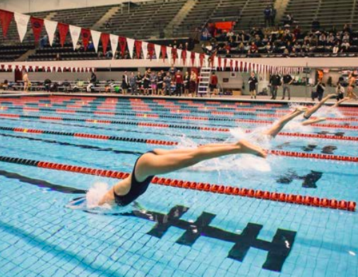 XU swim drops dual meet on road – Xavier Newswire
